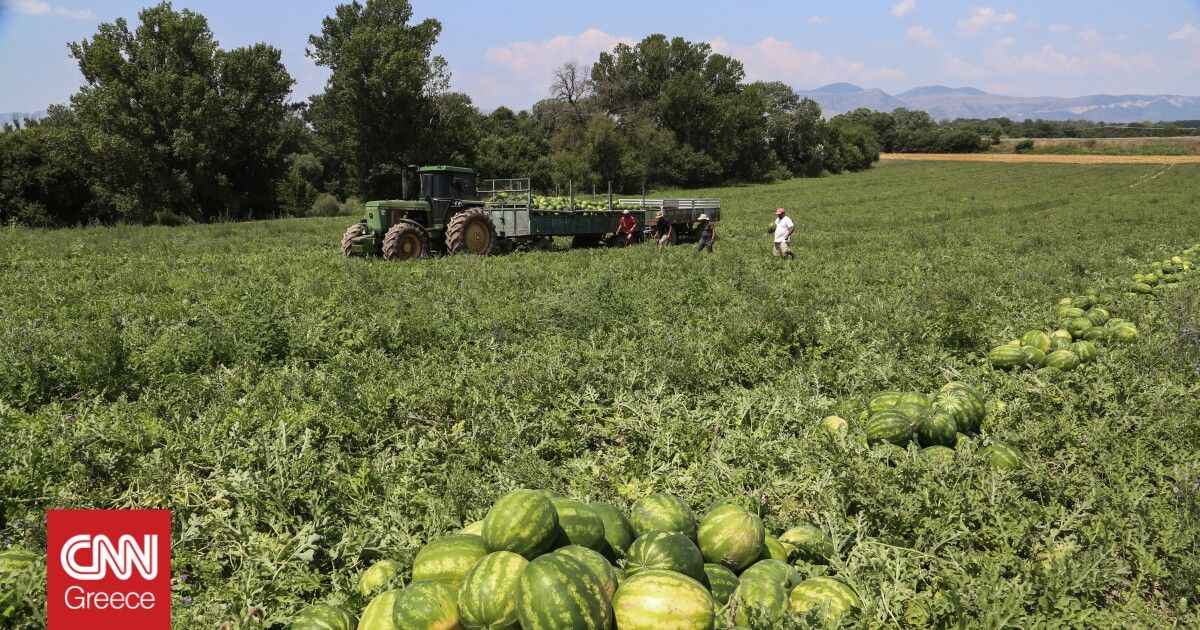 ΕΛΓΑ: Τέλη Σεπτεμβρίου εκπνέει η προθεσμία καταβολής της ειδικής ...