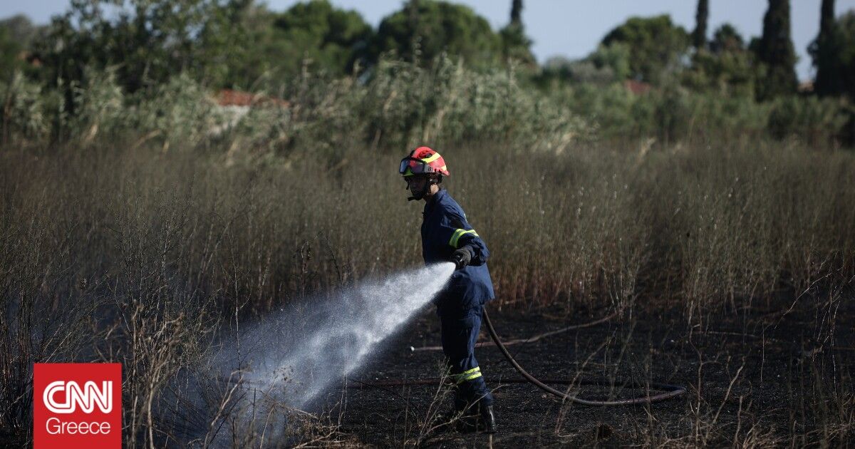 Συναγερμός στην Πυροσβεστική - Φωτιά στην Ελασσόνα - CNN.gr