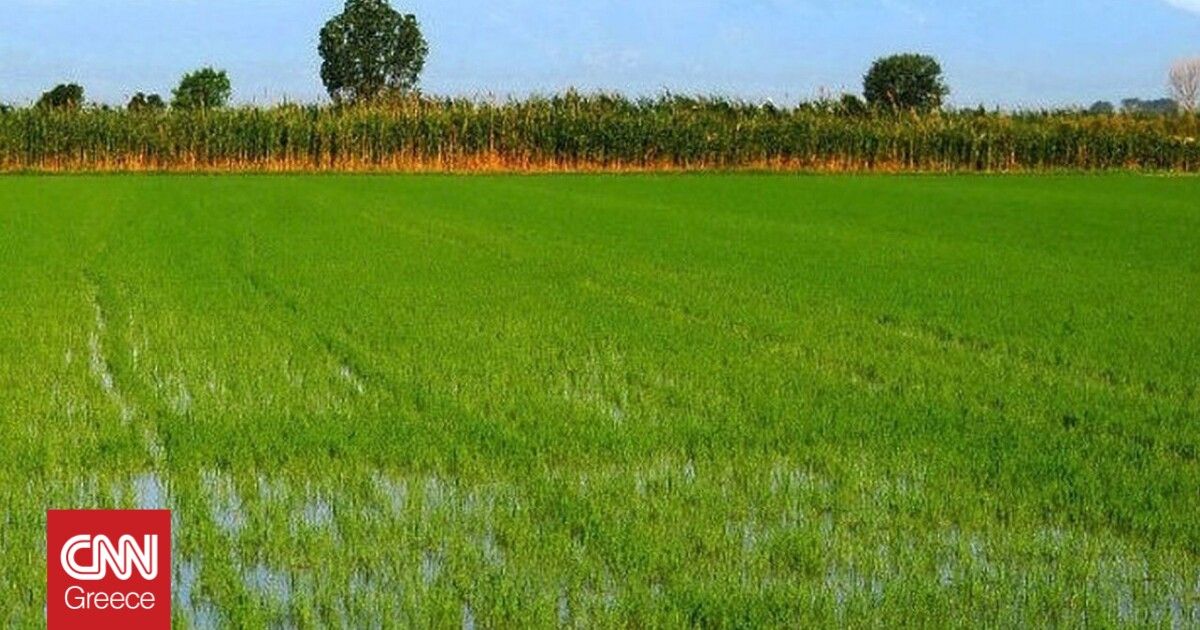 «Πράσινος Αγροτουρισμός»: Ενισχύει την αντιμετώπιση της κλιματικής ...