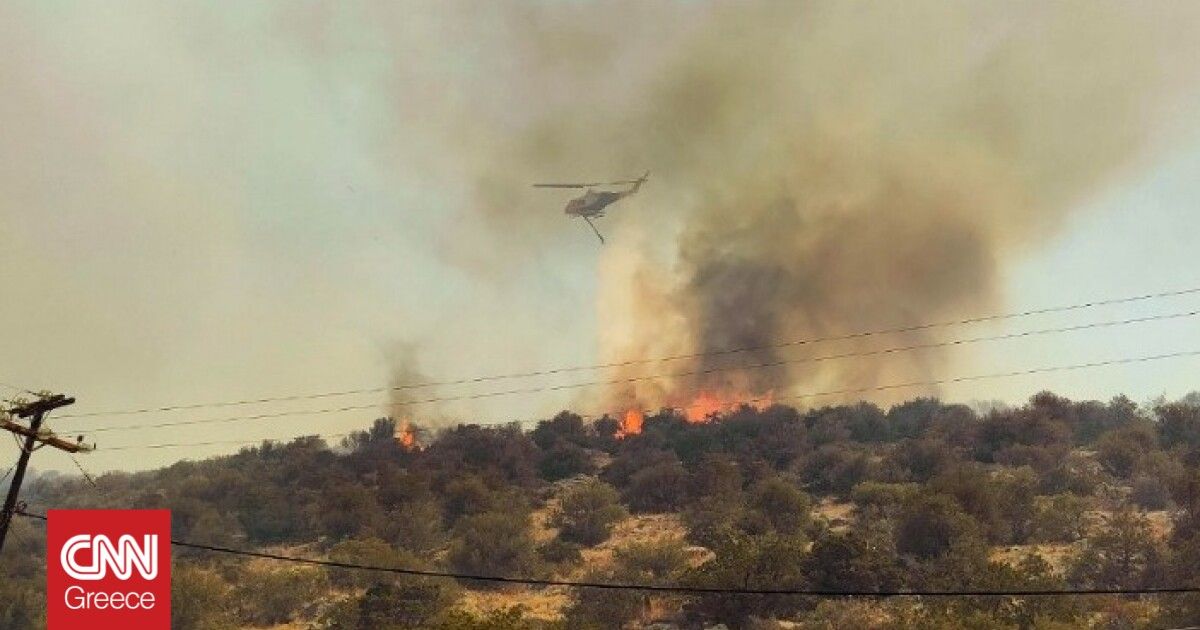 Φωτιά στην Αλεξανδρούπολη: Αναμένονται αεροσκάφη από Κύπρο και επίγειες ...