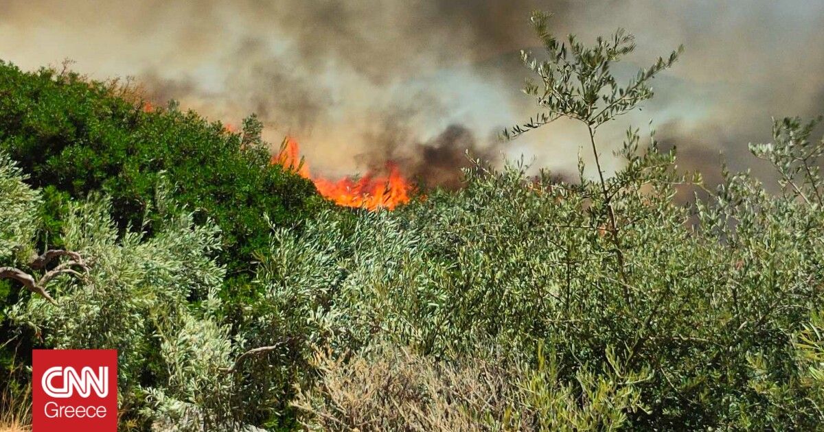 Φωτιά στην Αλεξανδρούπολη: Νέο μήνυμα του 112 για εκκένωση στη ...