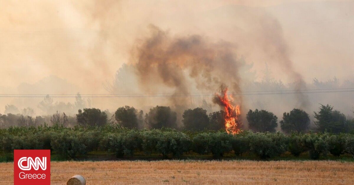 Φωτιά ξέσπασε στο Άργος στην περιοχή Κόκλα - CNN.gr