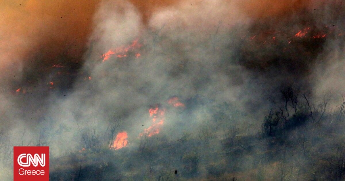 Ανεξέλεγκτη η φωτιά στον Έβρο: Εκκενώθηκαν 16 οικισμοί - Αντιπυρικές ...