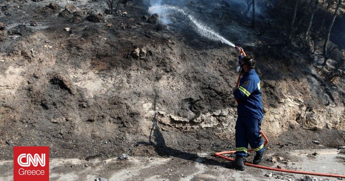 Υπό μερικό έλεγχο τέθηκε η φωτιά στον Αυλώνα - CNN.gr