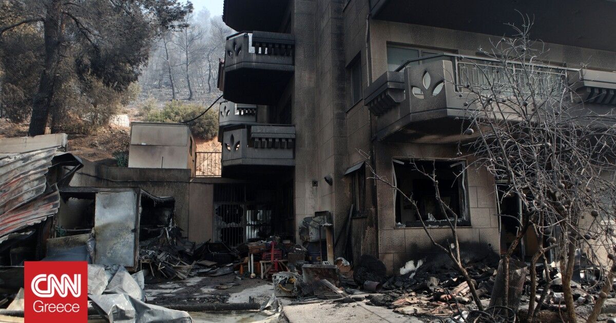 Φωτιά στην Πάρνηθα: Ξεκινούν αυτοψίες και καταγραφές πυρόπληκτων ...