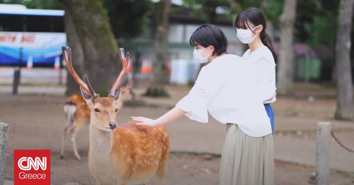 Ιαπωνία: Ταξιδεύοντας με το «Deer Train» προς το Πάρκο Ελαφιών της Νάρα ...