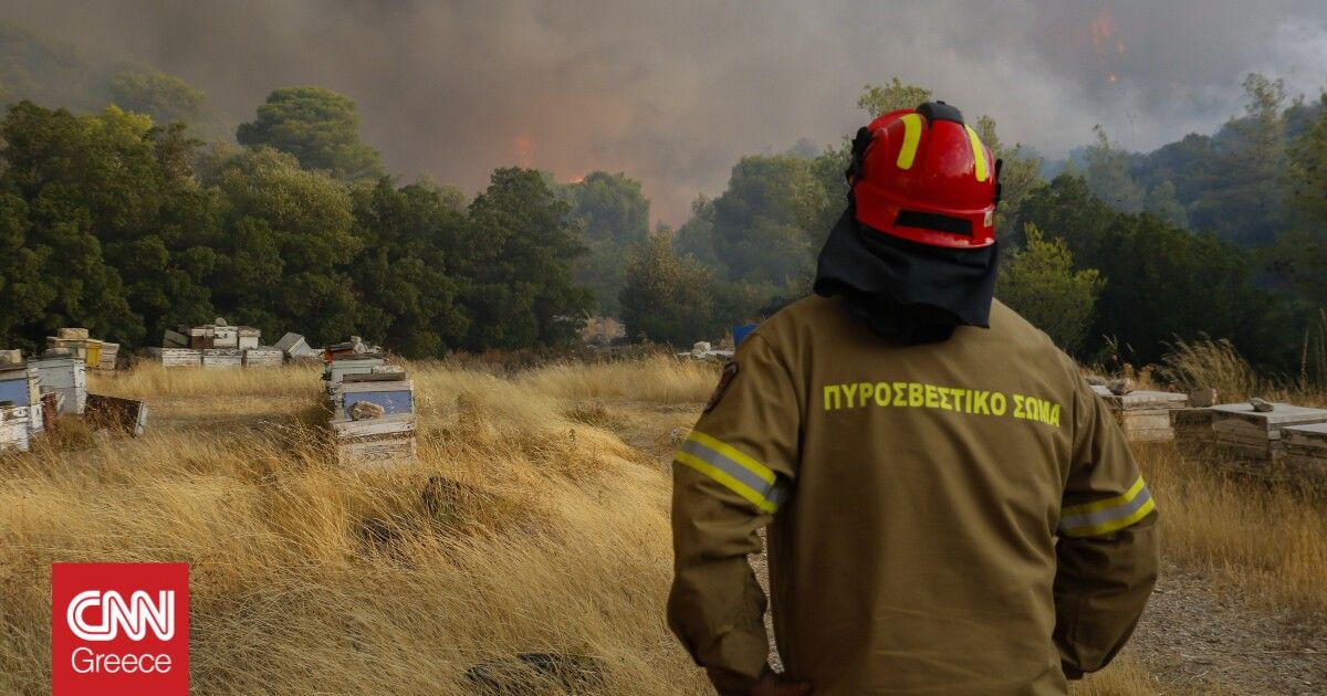 Η Πυροσβεστική διαψεύδει ότι η φωτιά στην Πάρνηθα προήλθε από πυλώνα ...