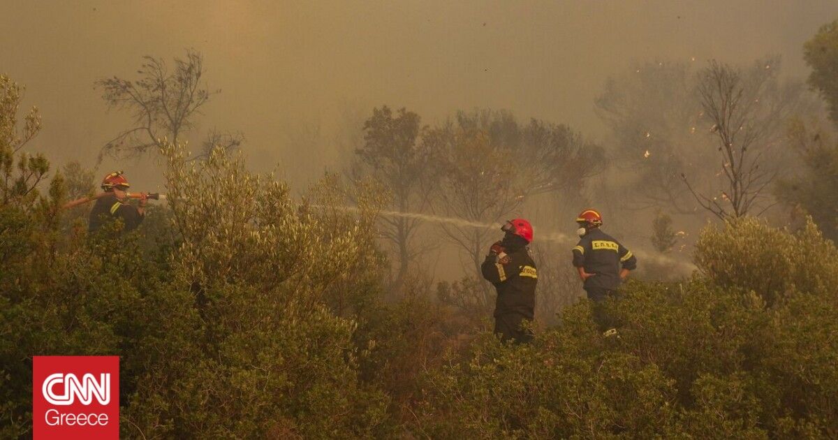 Μεσσηνία: Υπο έλεγχο τα δυο μέτωπα της πυρκαγιάς στον Ταΰγετο - CNN.gr