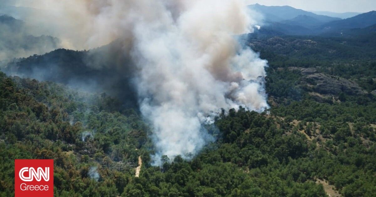 Φωτιά στον Εβρο: Ενίσχυση της πυρόσβασης στη Δαδιά - Για κρίσιμο 48ωρο ...