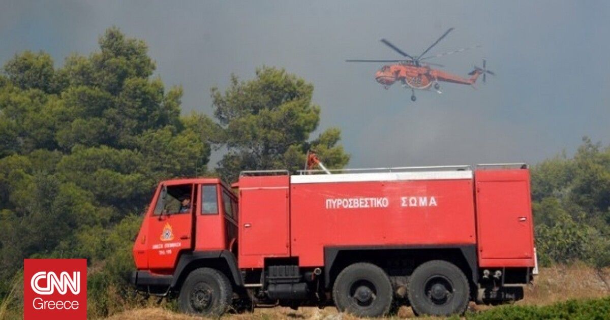 Δύο πυρκαγιές στην Άνδρο - Άμεση κινητοποίηση της Πυροσβεστικής - CNN.gr