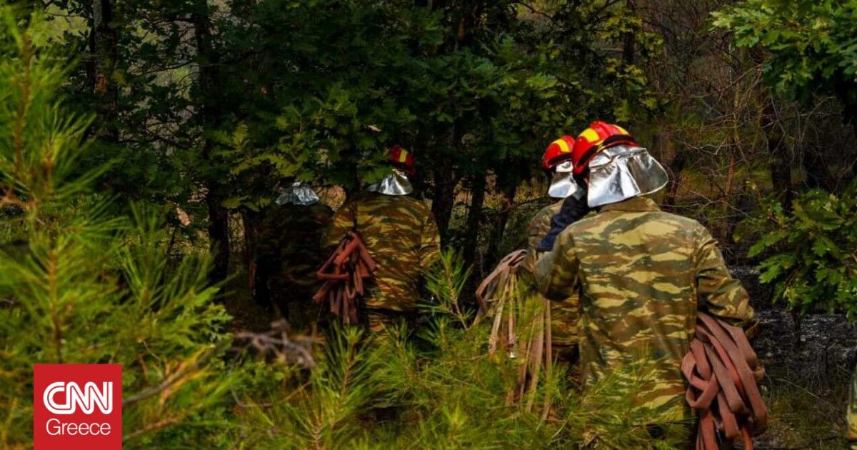 Φωτιά στον Έβρο - Αρτoποιός: Πολύ ισχυρό το μέτωπο - Μικροεστίες σε ...