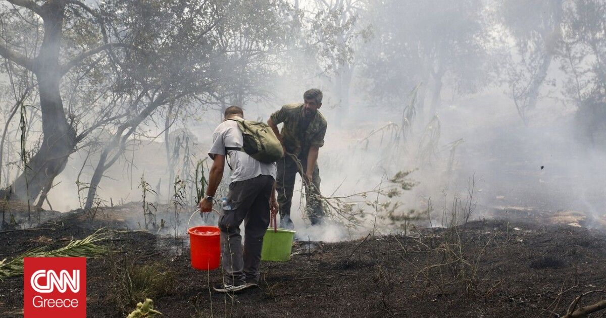 Προφυλακιστέος ο 45χρονος για τον εμπρησμό στον Αυλώνα - Με κατηγορία ...