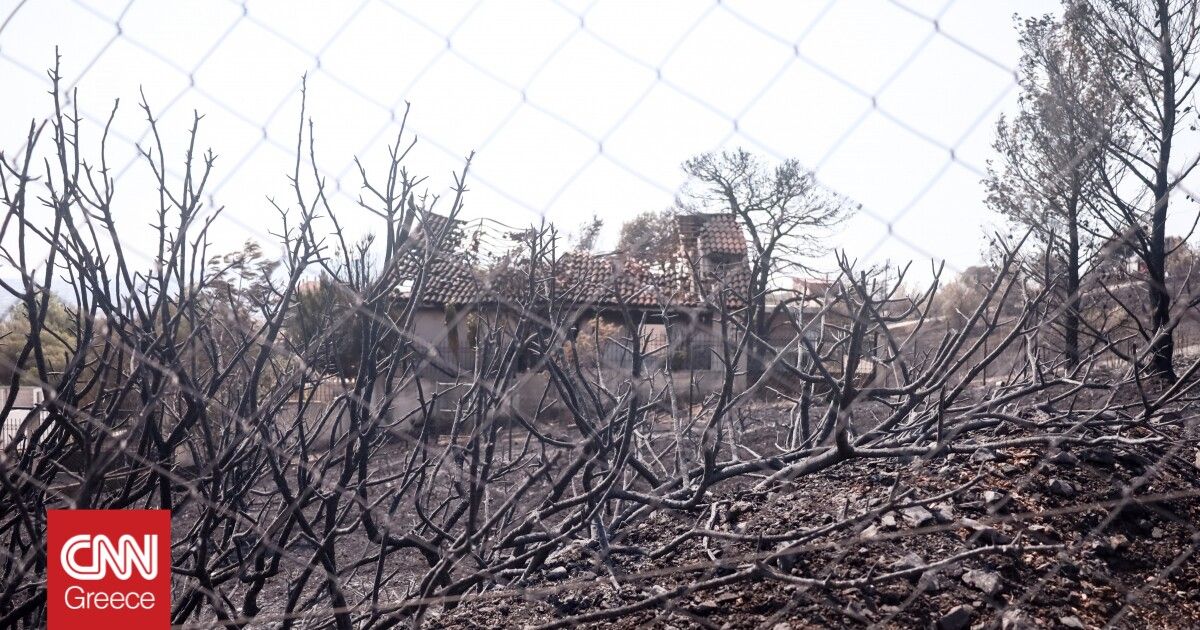 Δορυφορική εικόνα από την καμένη έκταση στον Έβρο: Στάχτη πάνω από 800. ...