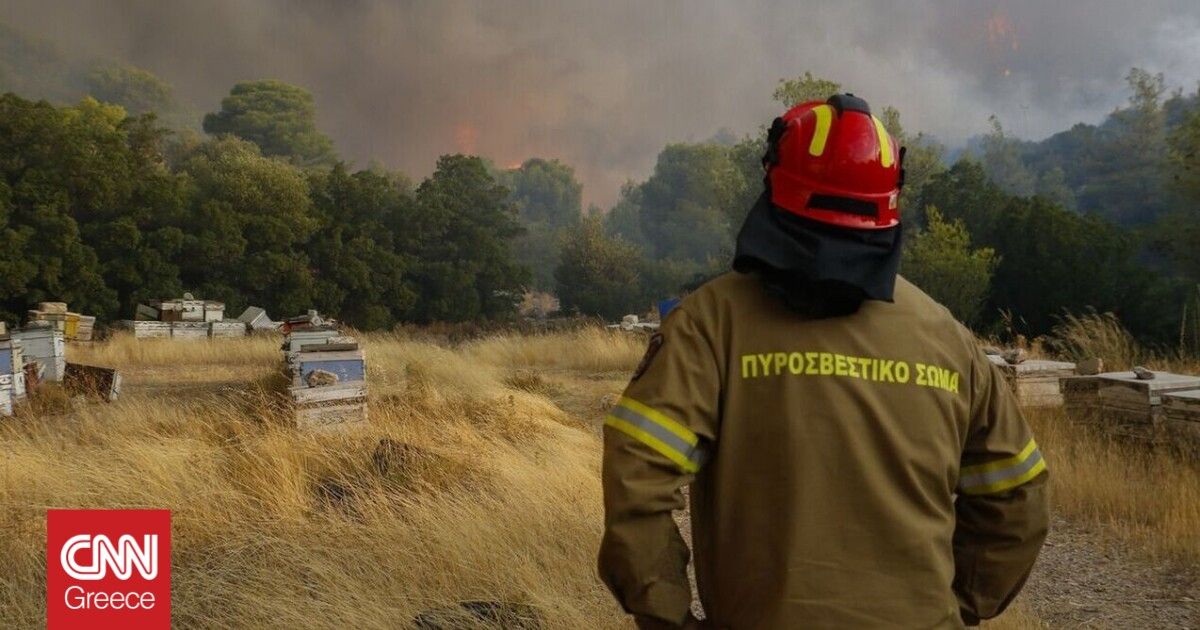 Αρτοποιός: Γιατί δεν σβήνει η φωτιά στον Έβρο - «Δεν μπορούν να ...
