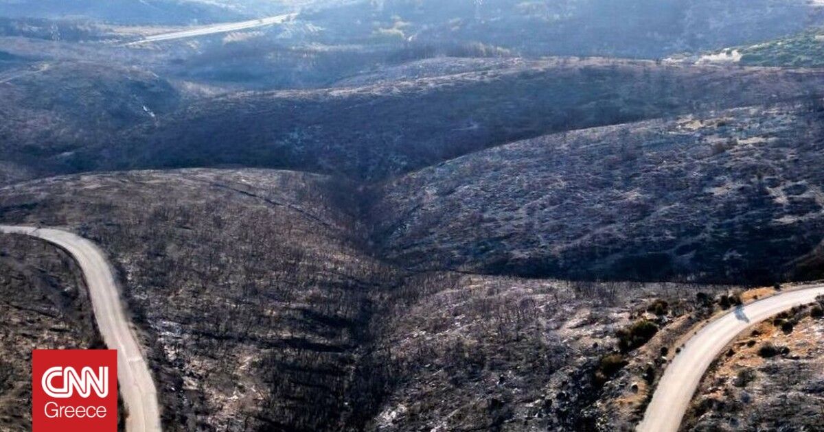 Έβρος: Πώς η πυρκαγιά επηρεάζει την άγρια πανίδα του Εθνικού Πάρκου ...
