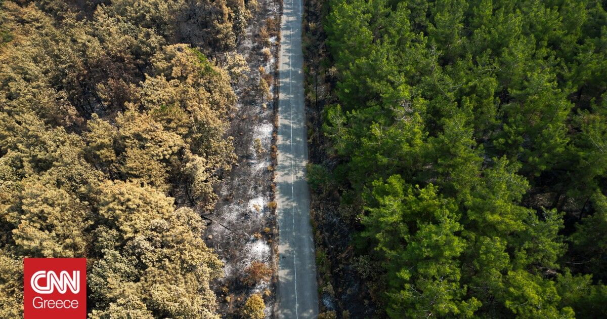 Πυρκαγιές: Αύξηση 270% των καμένων εκτάσεων - Θλιβερή πρωτιά της ...