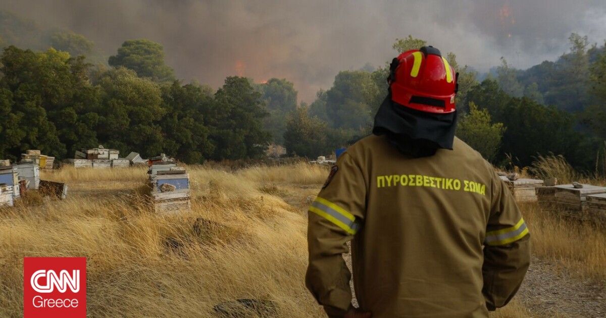 Κεφαλονιά: Στη φυλακή ο εποχικός πυροσβέστης που κατηγορείται για έξι ...