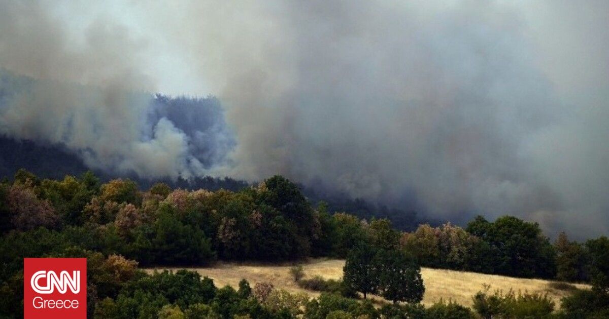 Φωτιά στον Έβρο: Μαίνεται για 16η μέρα - Σε Λευκίμμη και Προβατώνα τα ...