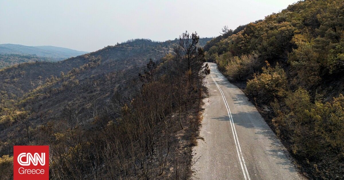 Σε ύφεση η φωτιά στον Έβρο 17 ημέρες μετά: Βιβλική καταστροφή άφησε το ...