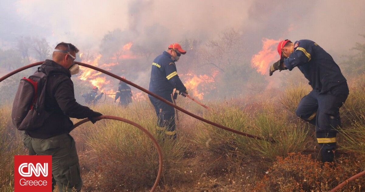 Φωτιά στη Μεσσηνία σε δασική έκταση στη Μίλα Οιχαλίας - CNN.gr