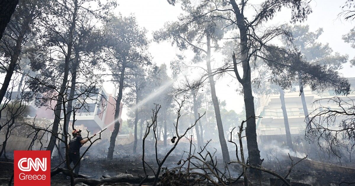 Σε εξέλιξη πυρκαγιές σε Κεφαλονιά και Σέρρες - CNN.gr