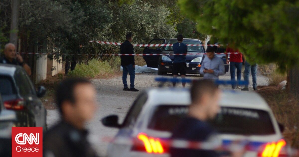 Φονικό στην Αρτέμιδα: Με 60 σφαίρες «γάζωσαν» τους Τούρκους με τις ...