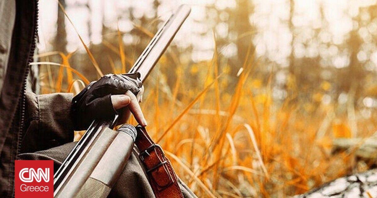 Φλώρινα: Λαθροκυνηγός πυροβόλησε και σκότωσε αρκουδάκι λίγων μηνών - CNN.gr
