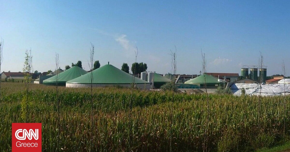 Ελένη Μπαϊράμη (ECO Hellas) : Η κυκλική οικονομία είναι η ηθική διάσταση της πράσινης ανάπτυξης ...