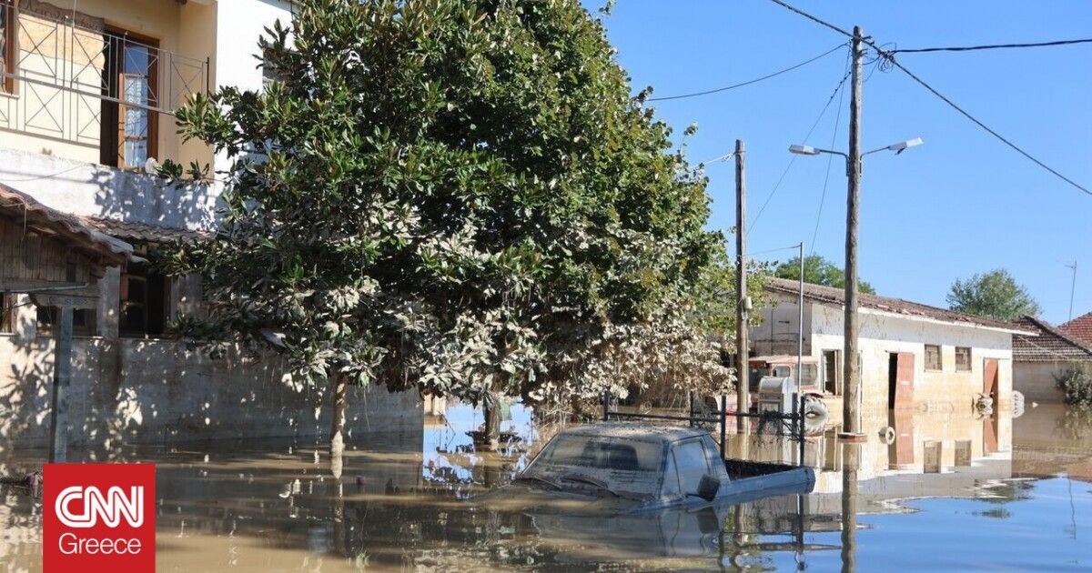 Πλημμύρες: 19 νέα κρούσματα λεπτοσπείρωσης στη Θεσσαλία την τελευταία ...