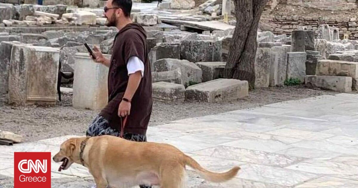Εντός Δεκεμβρίου η ψηφιακή πλατφόρμα για τα ζώα συντροφιάς - CNN.gr