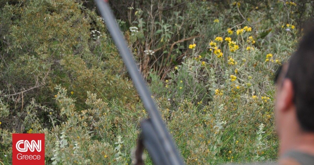 Θάσος: «Χειροπέδες» σε 67χρονο που πυροβόλησε με καραμπίνα ζώο - CNN.gr