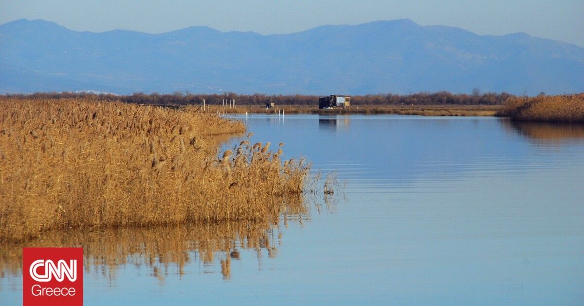 Παγκόσμια Ημέρα Υγροτόπων: Οι 10 ελληνικοί υγρότοποι και η σημασία της ...