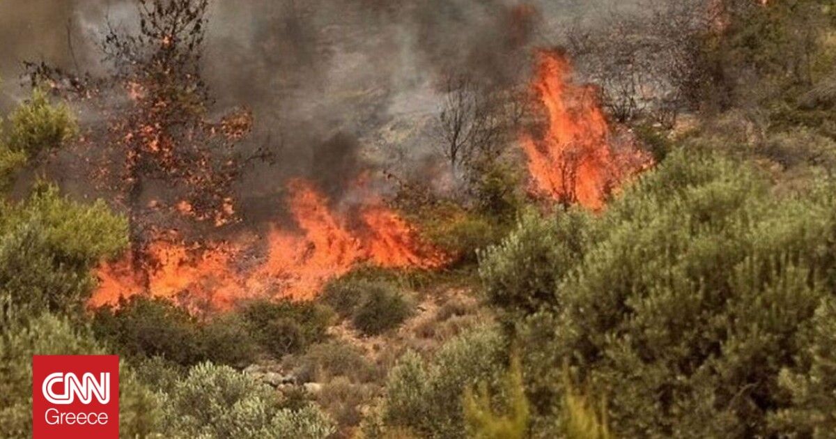 Πυρκαγιά σε δασική έκταση στη Φθιώτιδα - Επιχειρούν και εναέρια μέσα ...