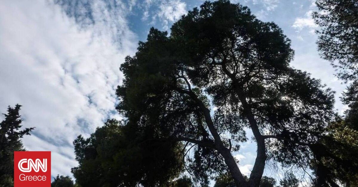 Copernicus: Ο θερμότερος όλων των εποχών ο χειμώνας του 2023-2024 στην ...