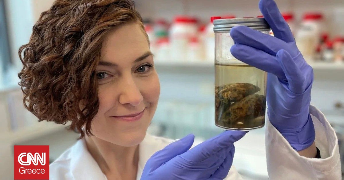 Πώς διατηρούνται οι αρχαίοι εγκέφαλοι και τι μπορούν να αποκαλύψουν για ...