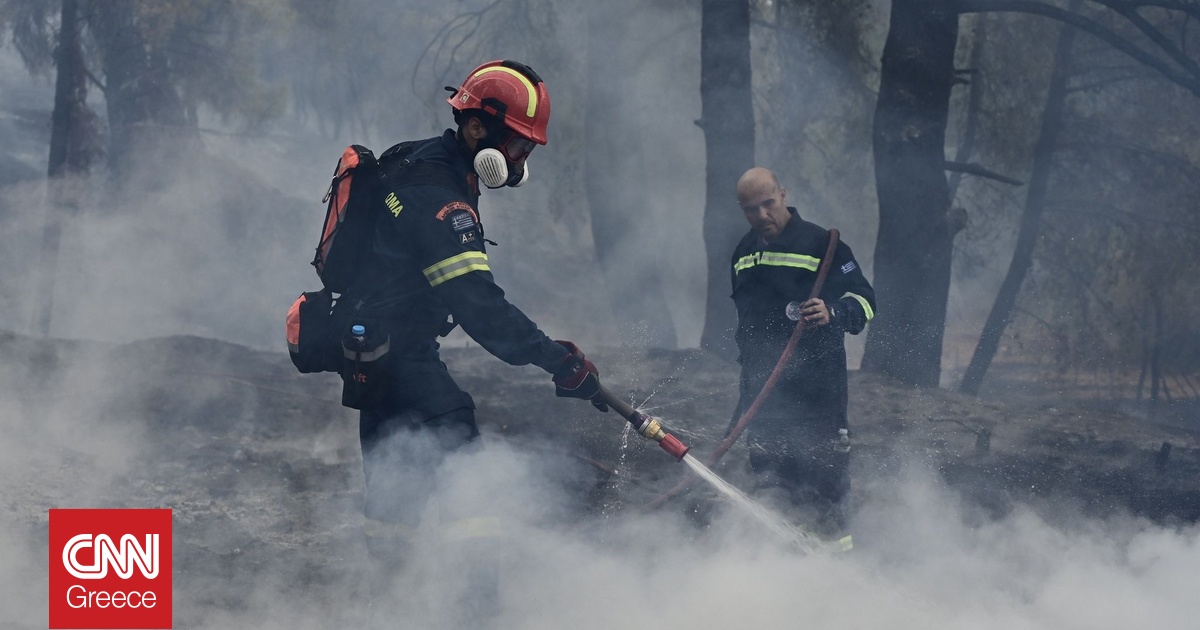 Πυρκαγιά σε δασική έκταση στην Βοιωτία - CNN.gr