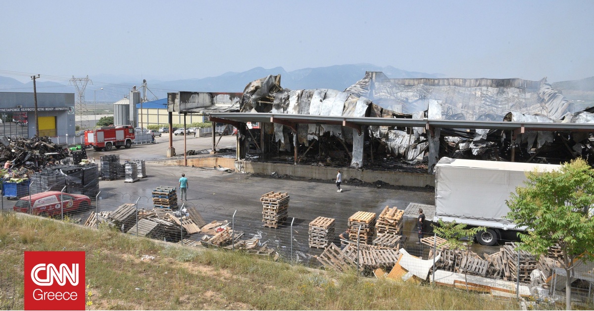 Λαμία: Αναστέλλεται η διανομή σχολικών γευμάτων στα δημοτικά σχολεία ...