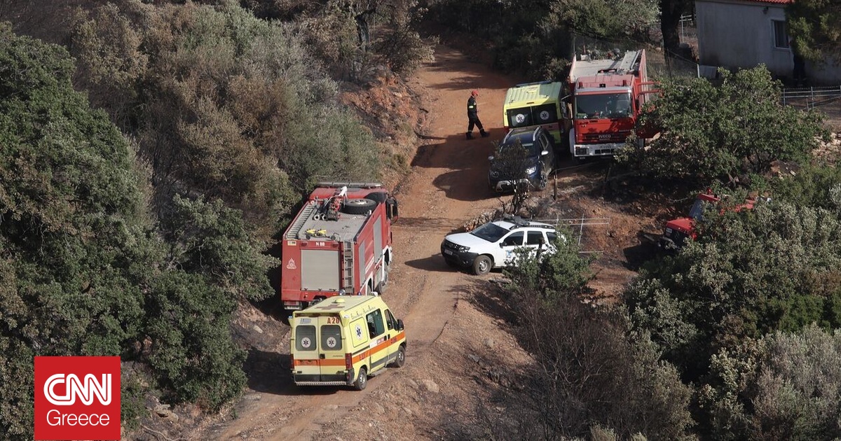 Αναγκαστική προσγείωση πυροσβεστικού αεροσκάφους στη Βοιωτία - Σώος ο ...