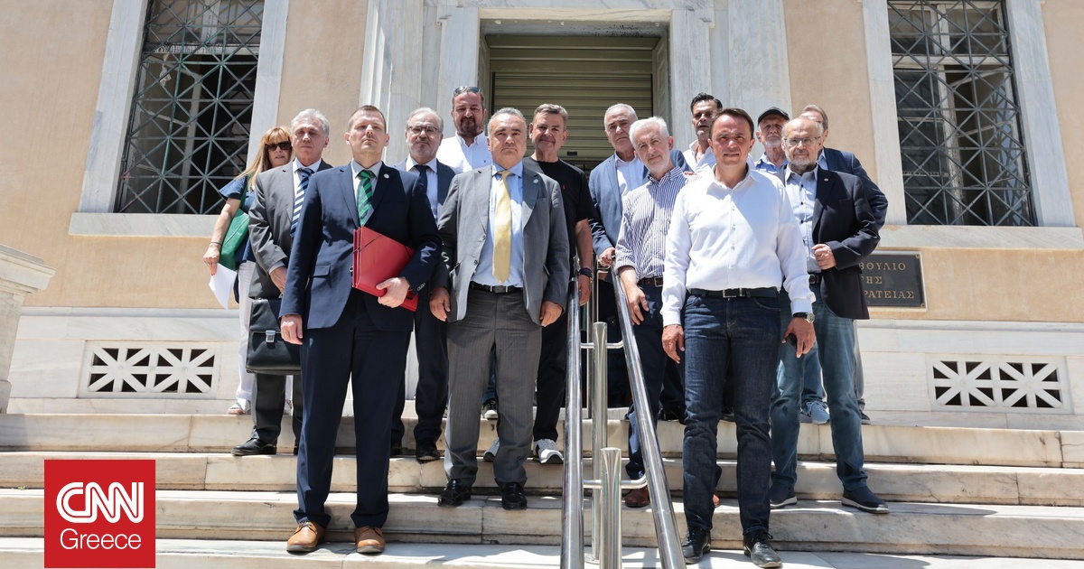 Ελεύθεροι επαγγελματίες: Συγκέντρωση στο ΣτΕ κατά του νέου φορολογικού ...