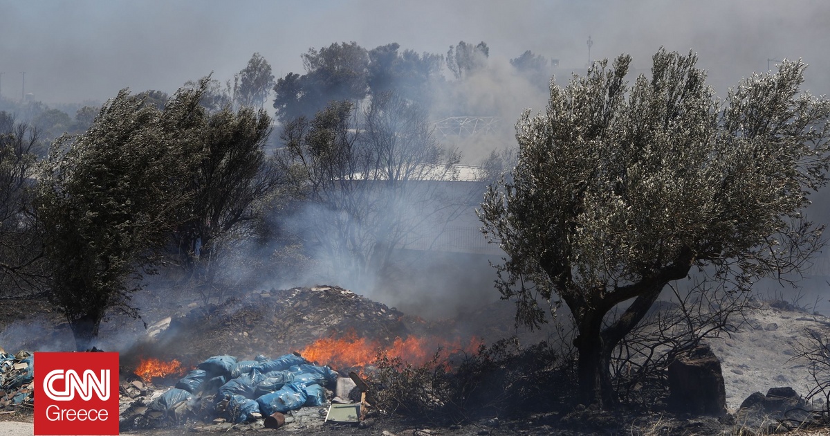 Τι δείχνει το βίντεο από τη φωτιά στη Βάρης - Κορωπίου: Ο εμπρηστής ...