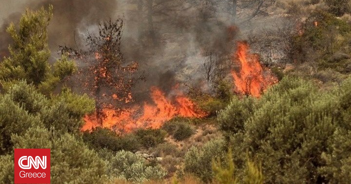 Πυροσβεστική: 44 πυρκαγιές το τελευταίο 24ωρο - Δύο συλλήψεις για ...