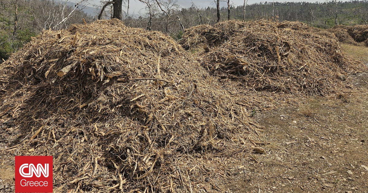 Εκπνέει η προθεσμία για τον καθαρισμό οικοπέδων - CNN.gr