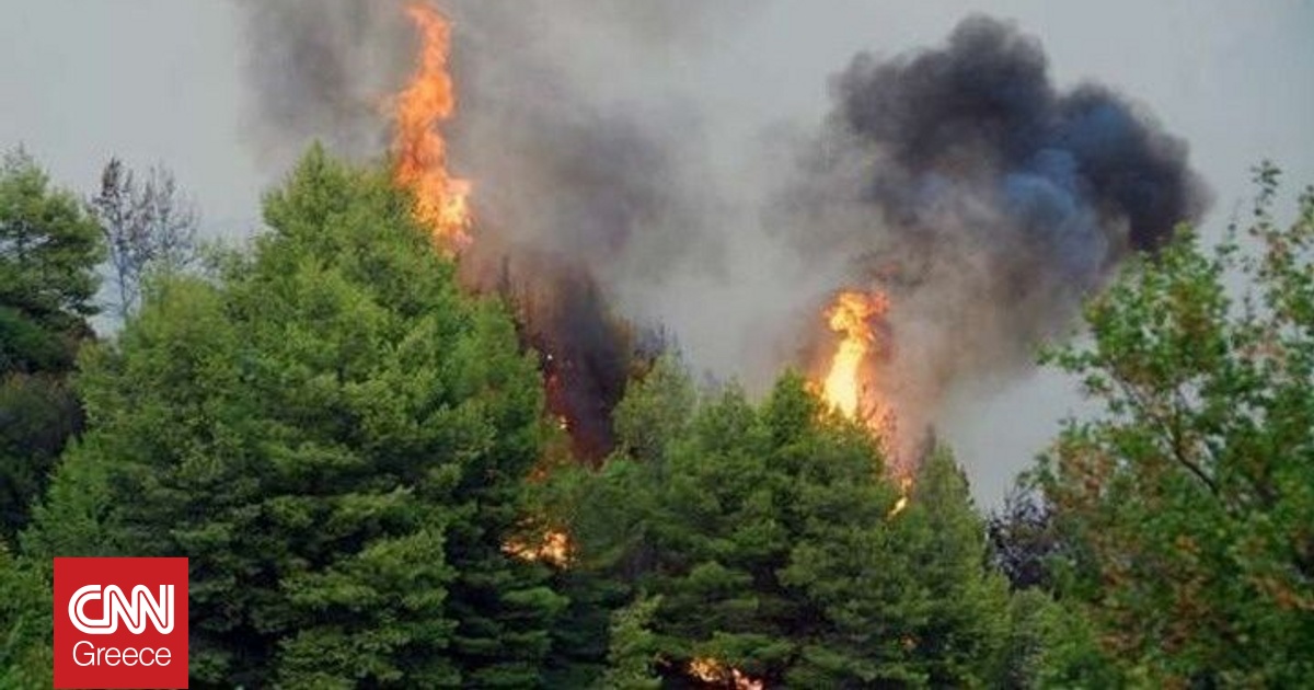 Πυρκαγιά σε δασική έκταση στο Άνω Γραμματικό στην Έδεσσα - CNN.gr