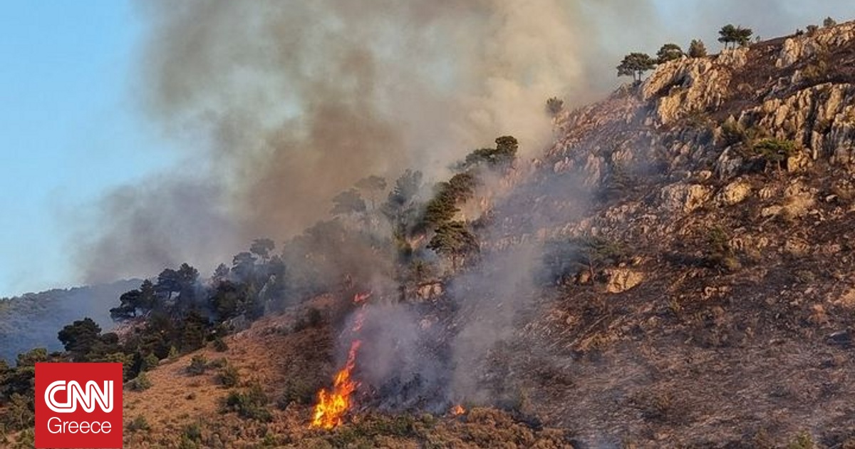 Πυρκαγιά σε δασική έκταση στη Μηλίτσα Μεσσηνίας - CNN.gr