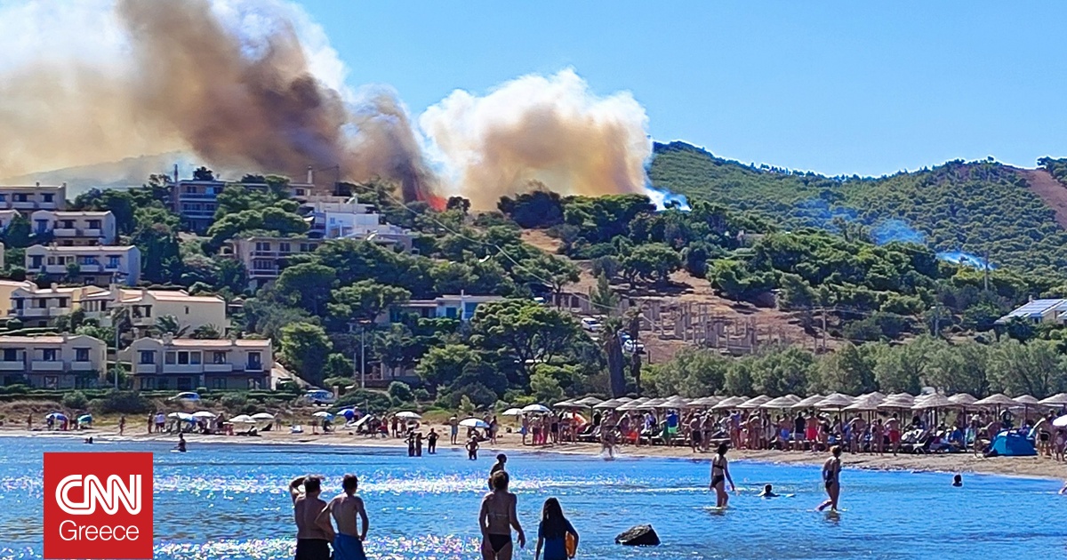 Υπό μερικό έλεγχο η πυρκαγιά σε δασική έκταση στην Κάτω Ποσειδωνία ...