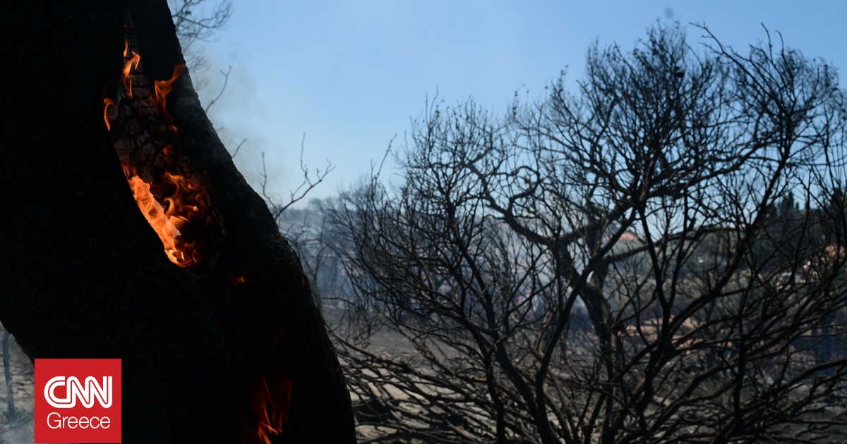 Συναγερμός στην Πυροσβεστική: Πυρκαγιά στη Νέα Σάντα Ροδόπης - CNN.gr