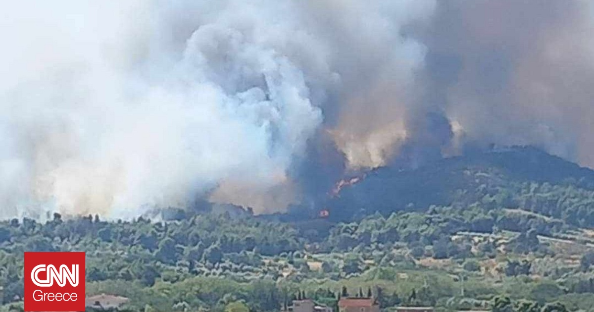 Φωτιά στο λόφο Κοτρώνι στην περιοχή της Ζωοδόχου Πηγής στο Καπανδρίτι ...