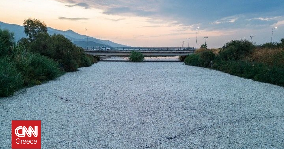 Πεδίο αντιπαράθεσης η περιβαλλοντική καταστροφή στη Θεσσαλία - Στο ...