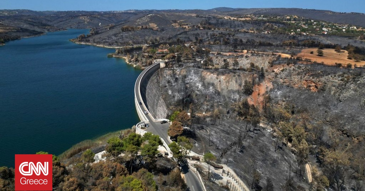Αναδάσωση: Μια δύσκολη «εξίσωση» για τα μέρη που έχουν καεί- Δείτε το ...