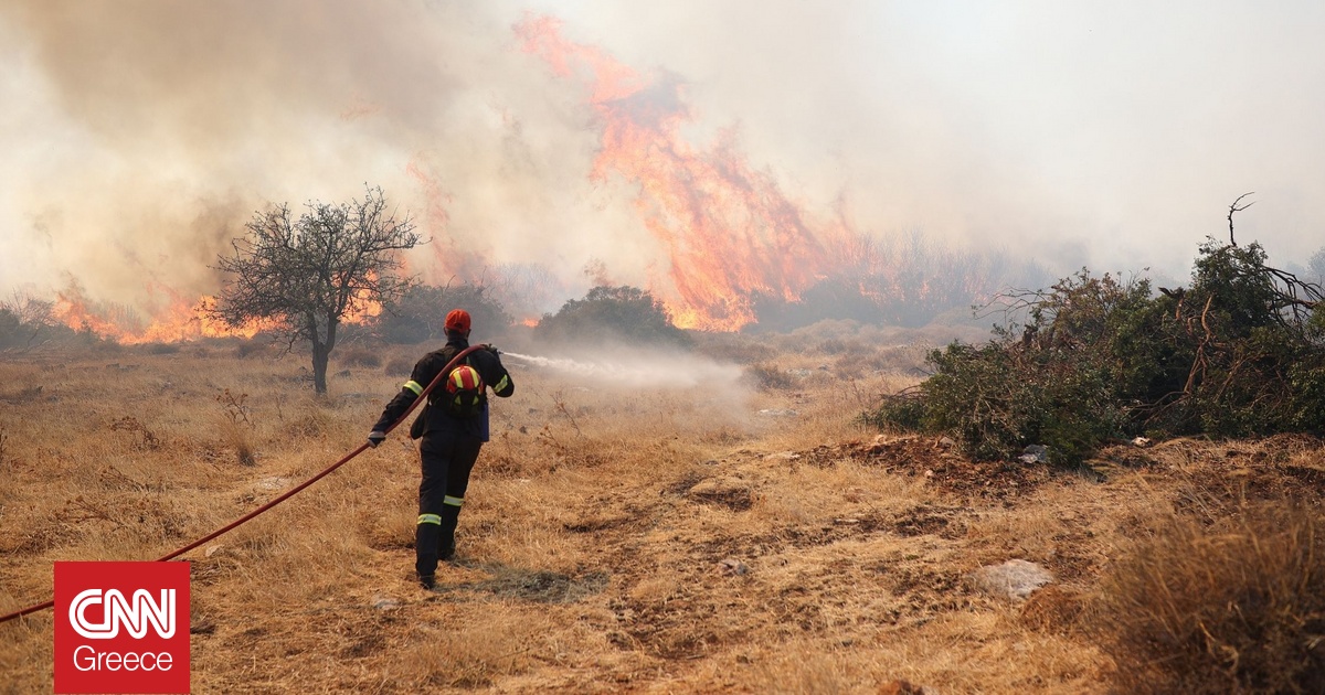 Σύλληψη 55χρονου μελισσοκόμου για την πυρκαγιά στην Αλυκή Βοιωτίας - CNN.gr